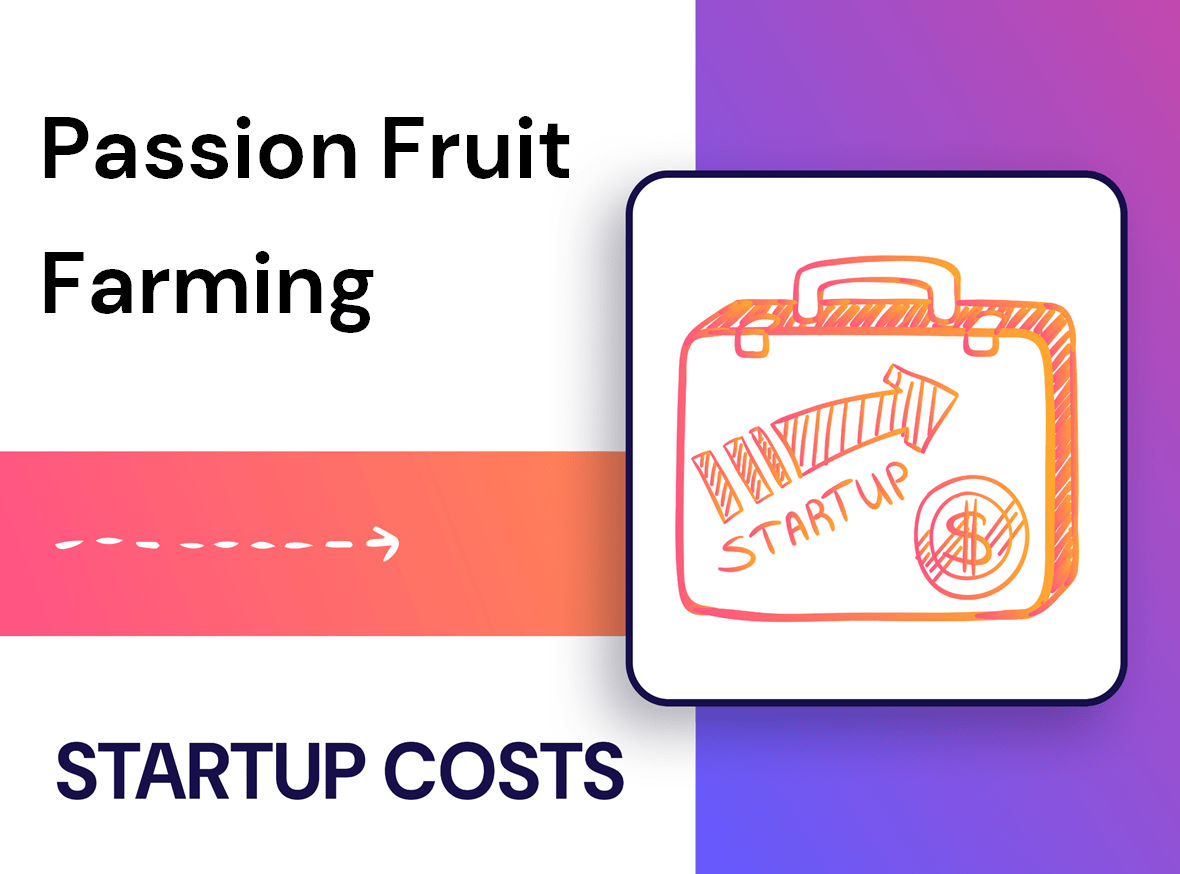 What Are the Startup Costs for Passion Fruit Farming?