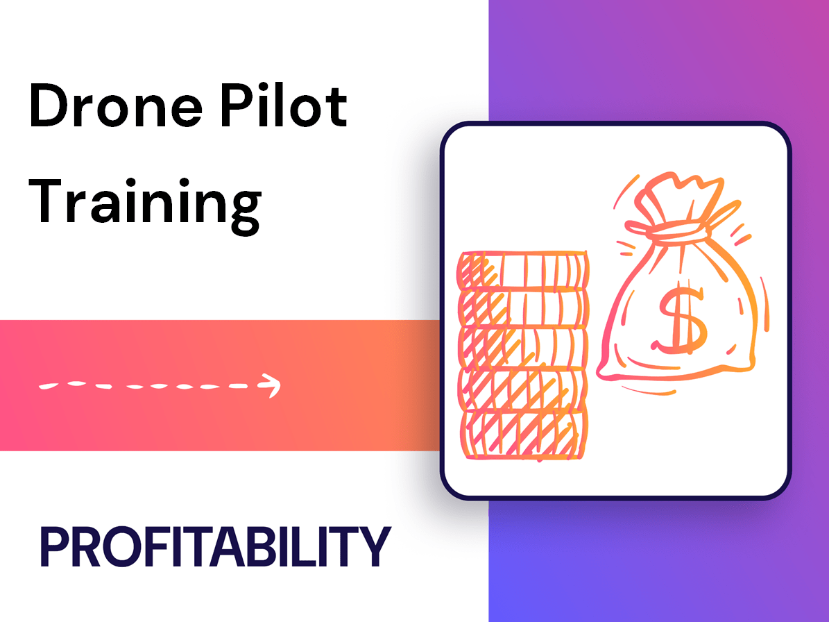 What Are the Top 5 Strategies to Maximize Profitability for Drone Pilot Training?
