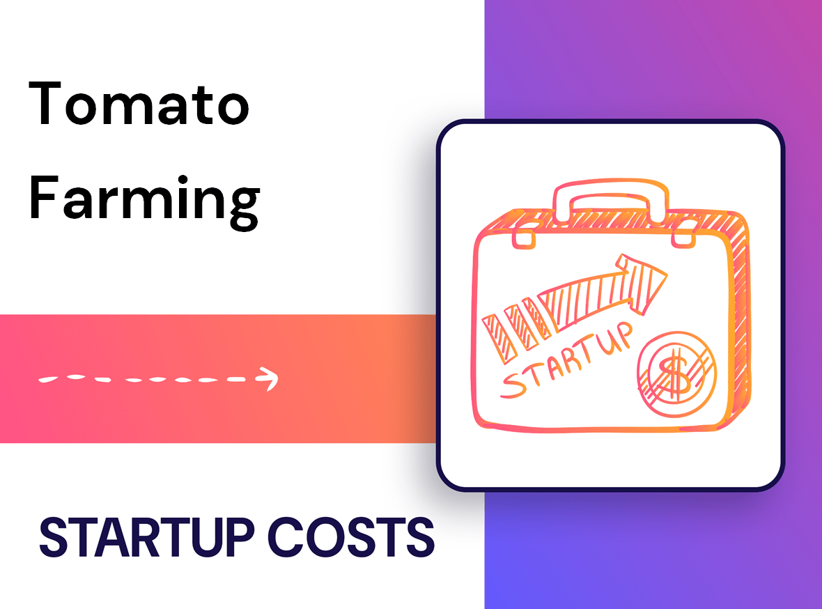 What Are the Startup Costs for Tomato Farming?