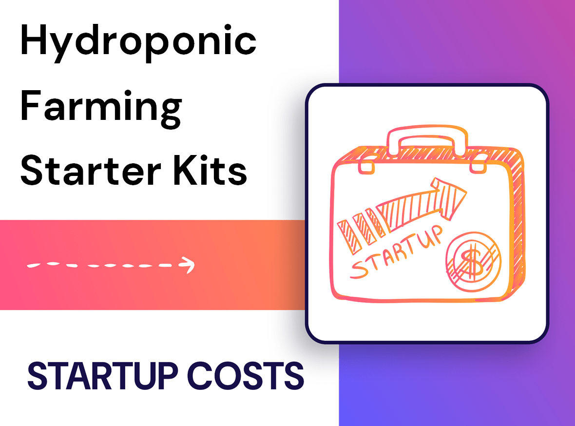 What Are the Startup Costs for Hydroponic Farming Starter Kits?