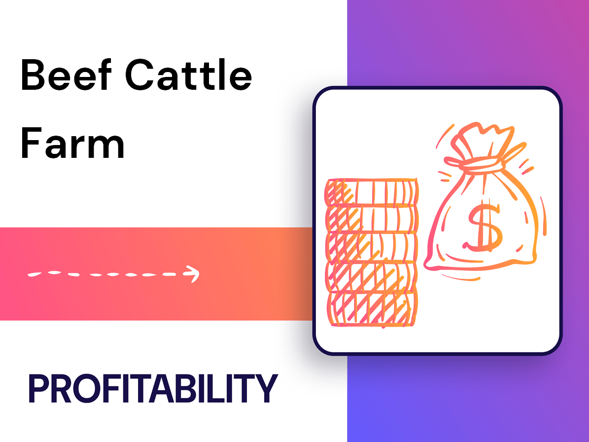 What Are the Top 5 Strategies to Maximize Profitability for Beef Cattle ...