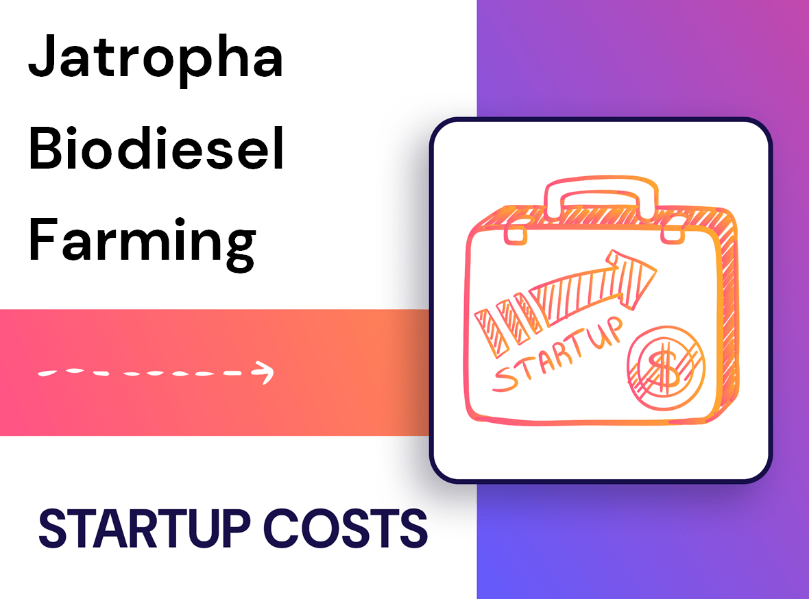 What Are the Startup Costs for Jatropha Biodiesel Farming?