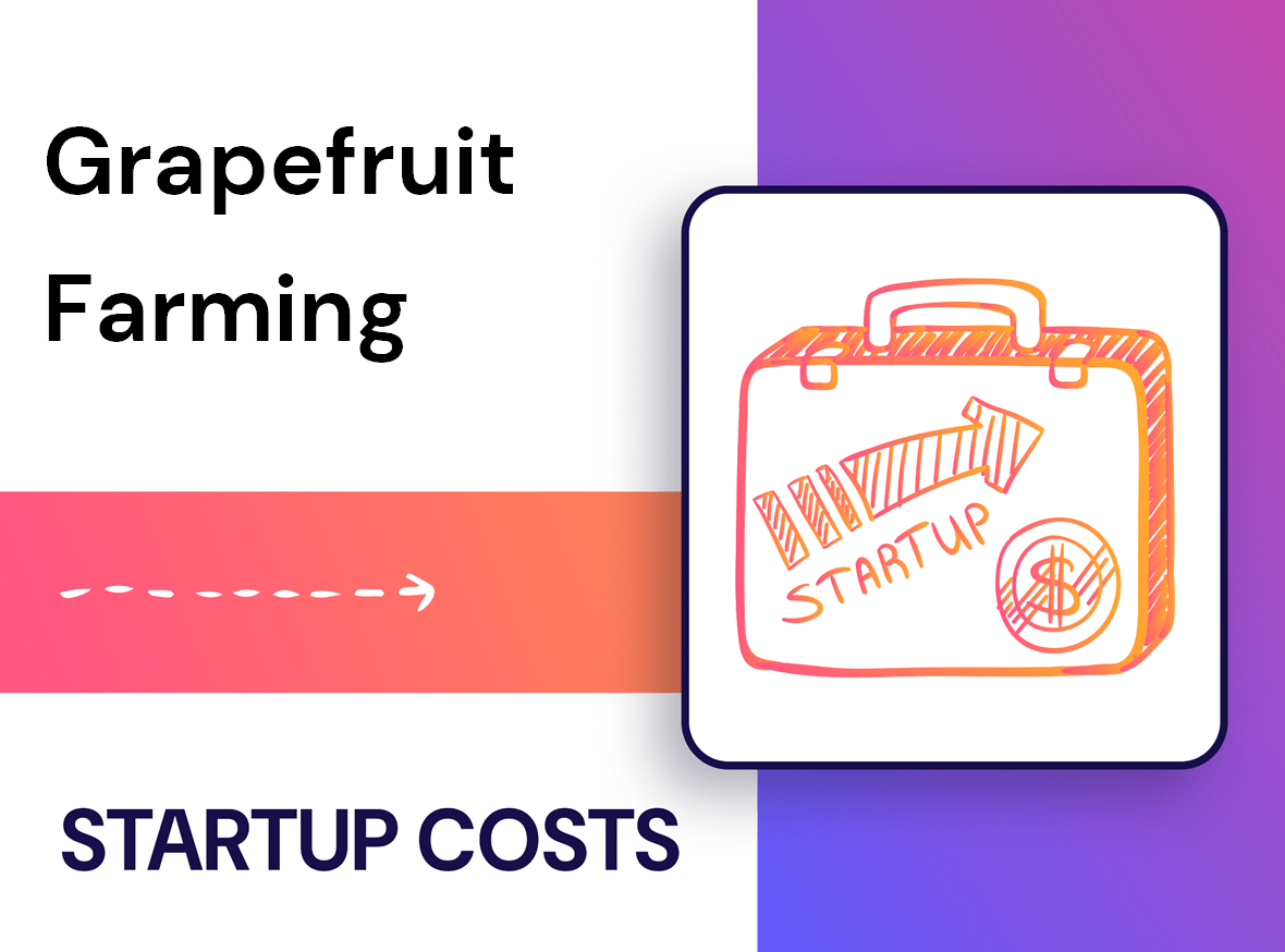 What Are the Startup Costs for Grapefruit Farming?