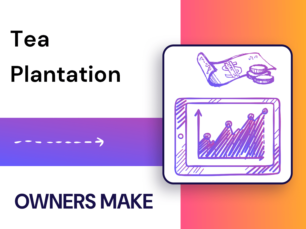 How Much Does an Owner Make from a Tea Plantation?
