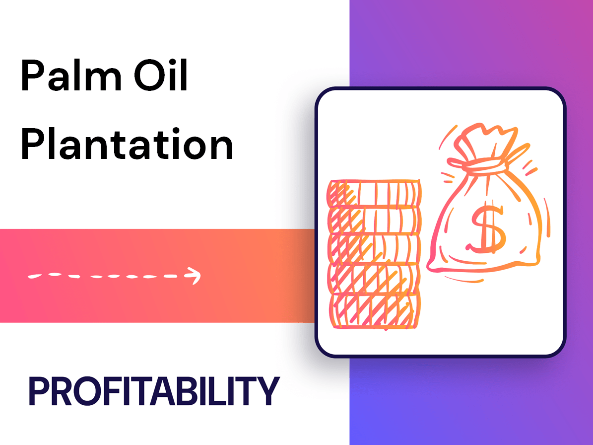 What Are the Top 5 Strategies to Maximize Profitability for Palm Oil ...