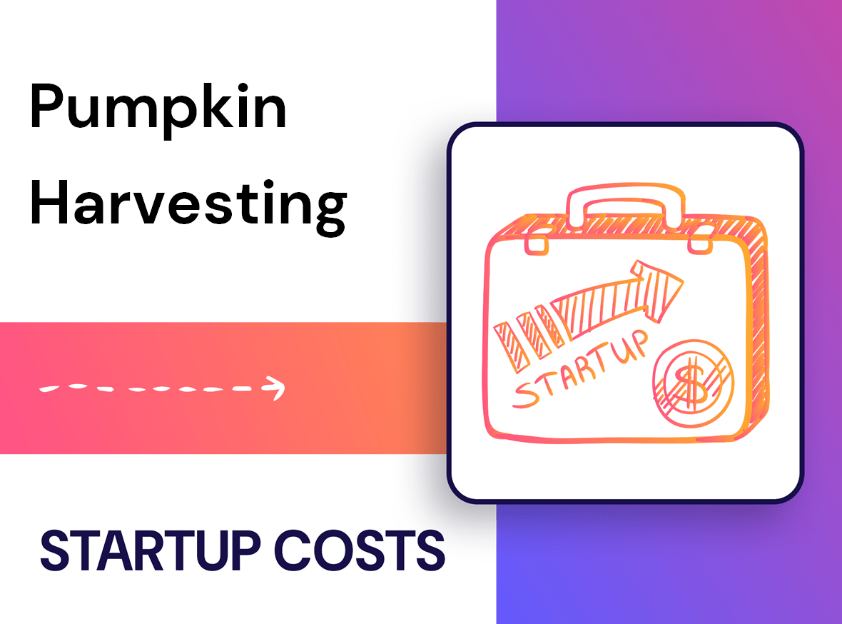 What Are the Startup Costs for Pumpkin Harvesting?
