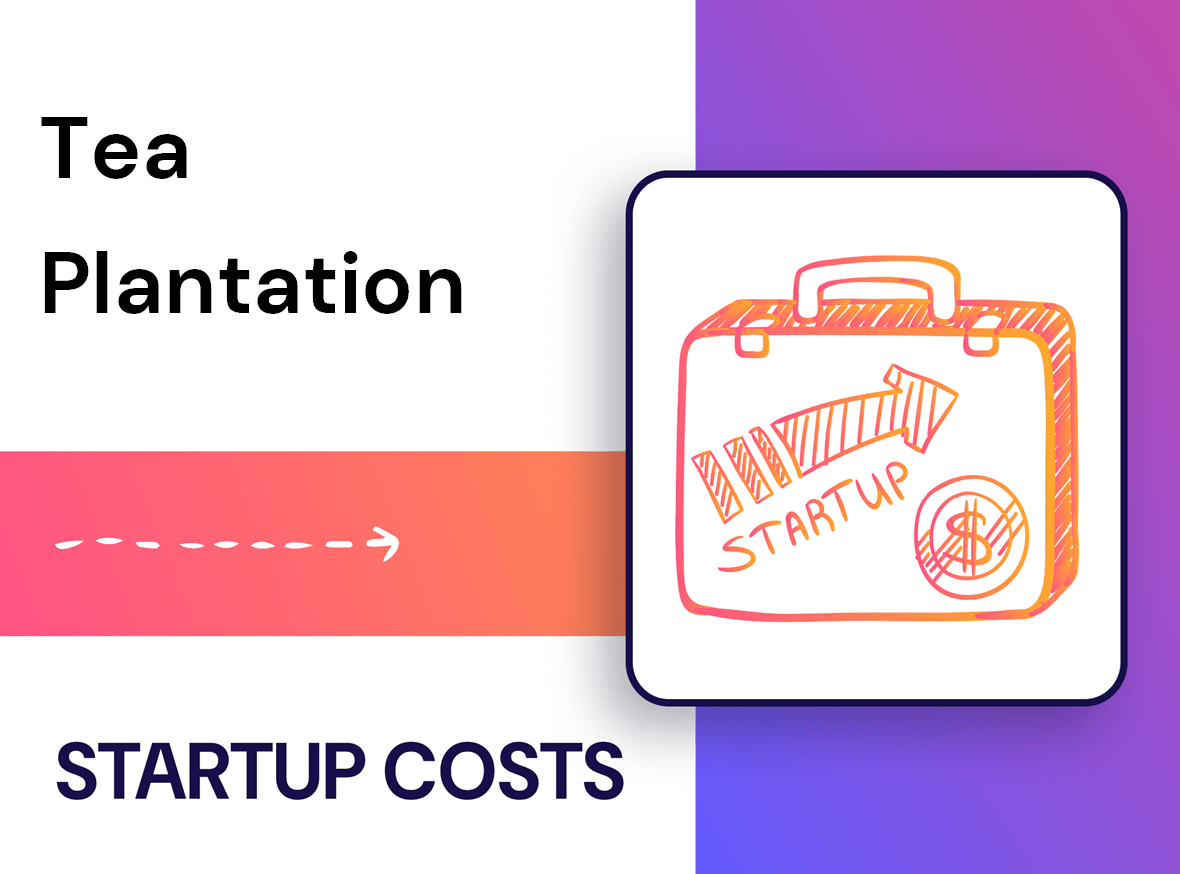 What Are the Startup Costs for a Tea Plantation?