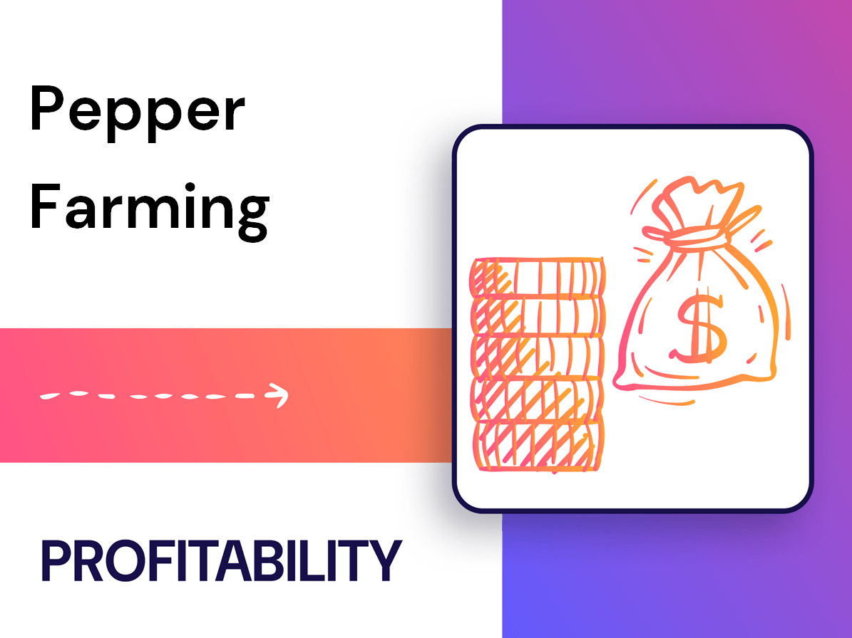 What Are the Top 5 Strategies to Maximize Profitability for Pepper Farming?