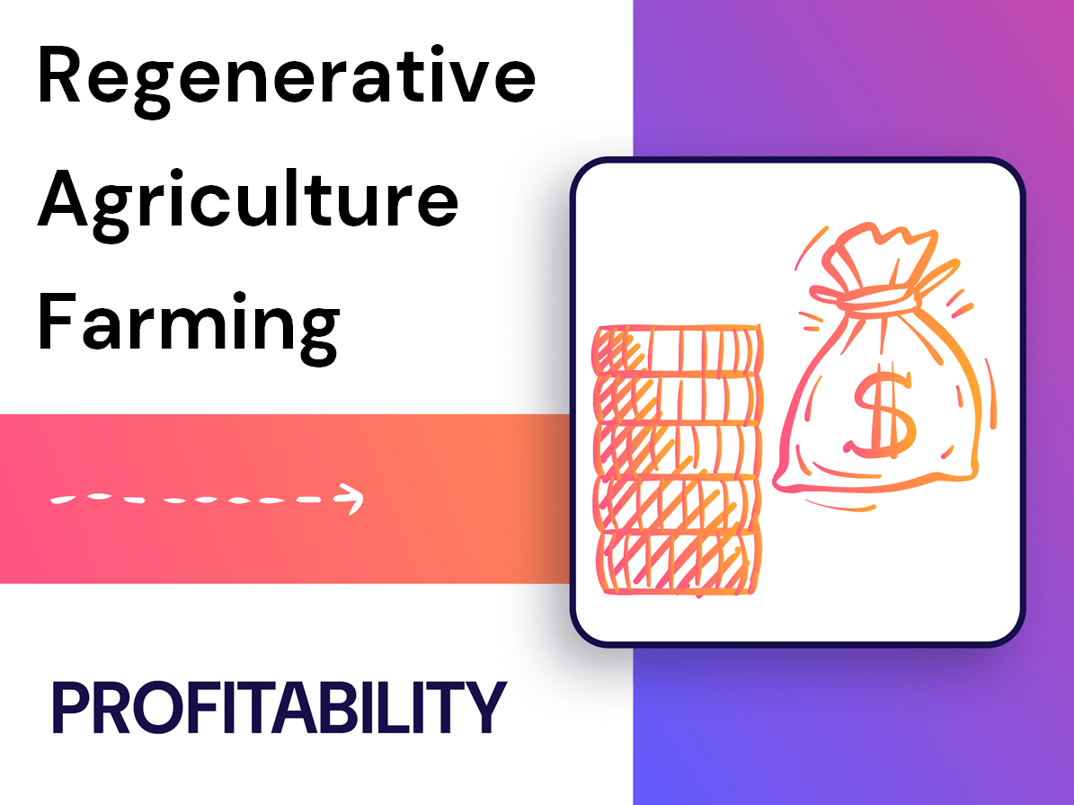 What Are the Top 5 Strategies to Maximize Profitability for ...