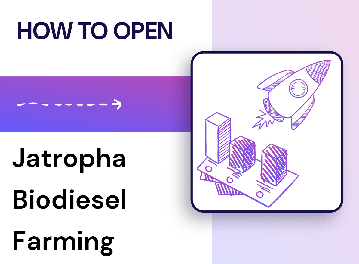 How to Start Jatropha Biodiesel Farming?