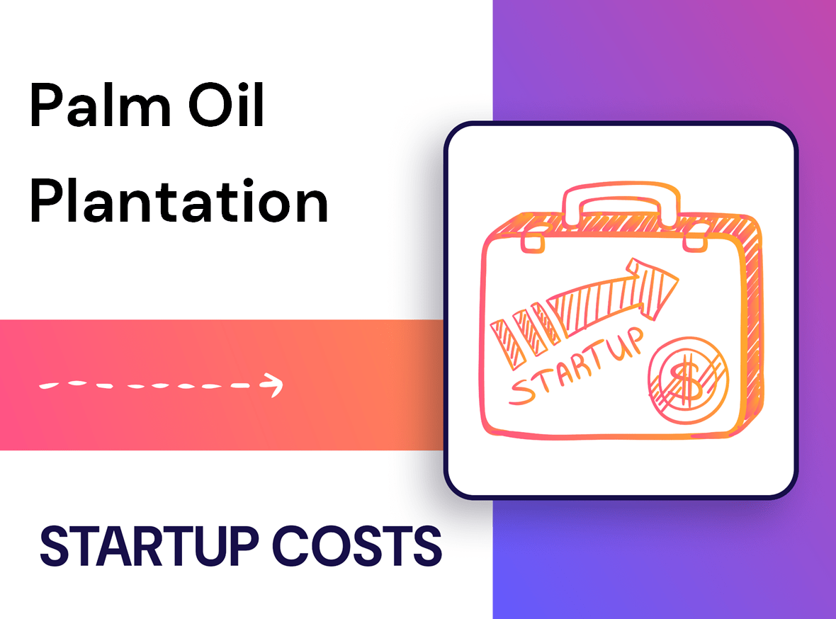 What Are the Startup Costs for a Palm Oil Plantation?