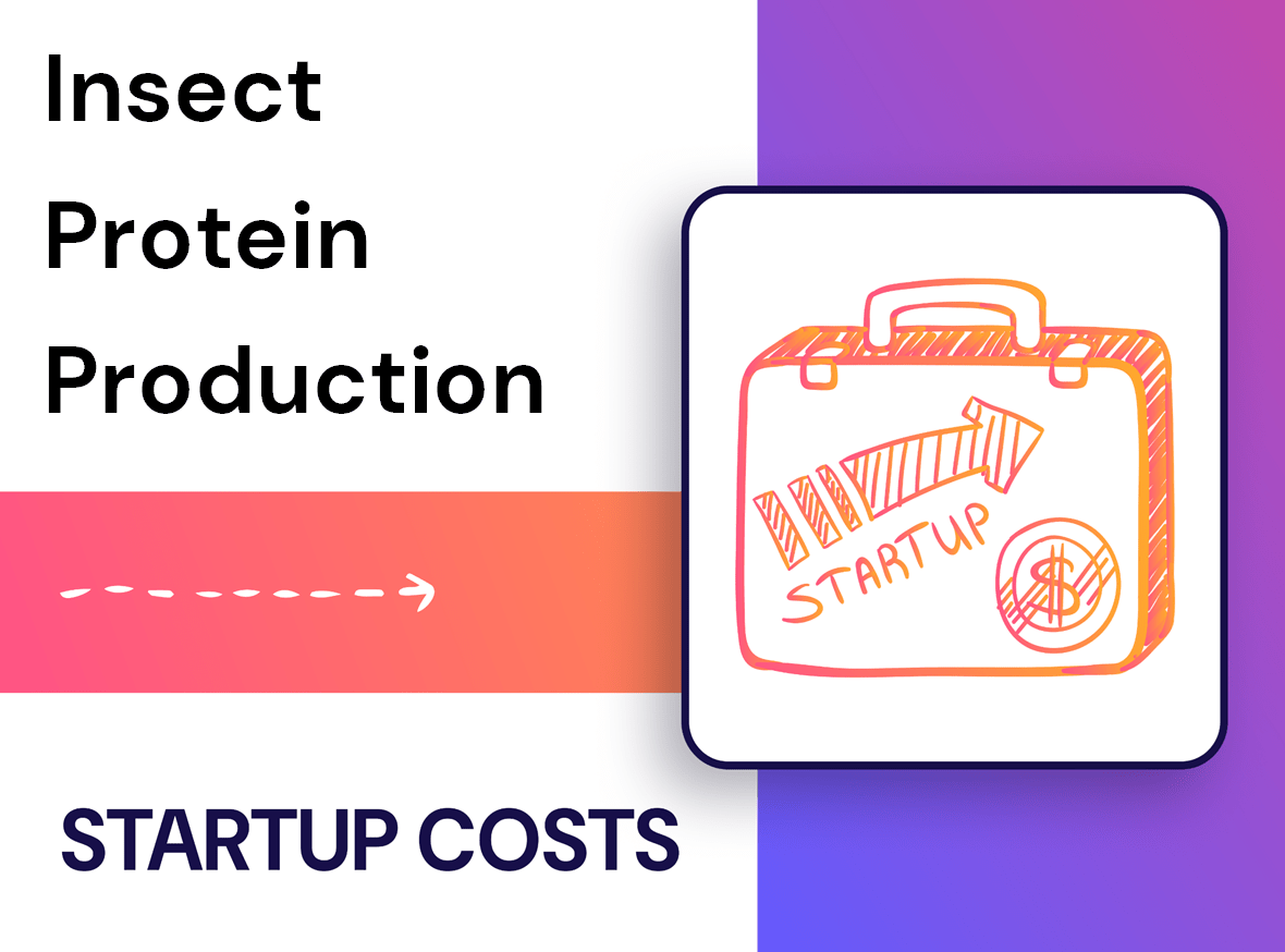 What Are the Startup Costs for Insect Protein Production?