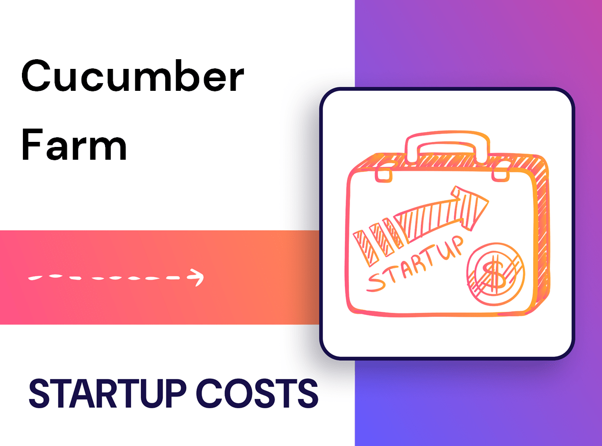 What Are the Startup Costs for a Cucumber Farm?