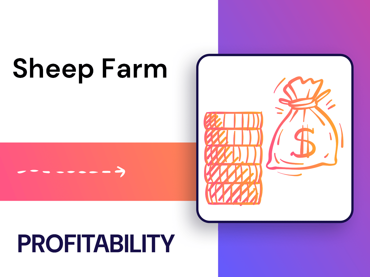 What Are the Top 5 Strategies to Maximize Profitability for Sheep Farm?