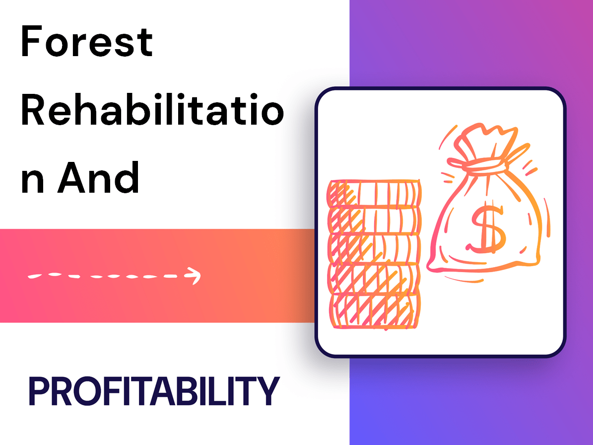 What Are the Top 5 Strategies to Maximize Profitability for Forest ...