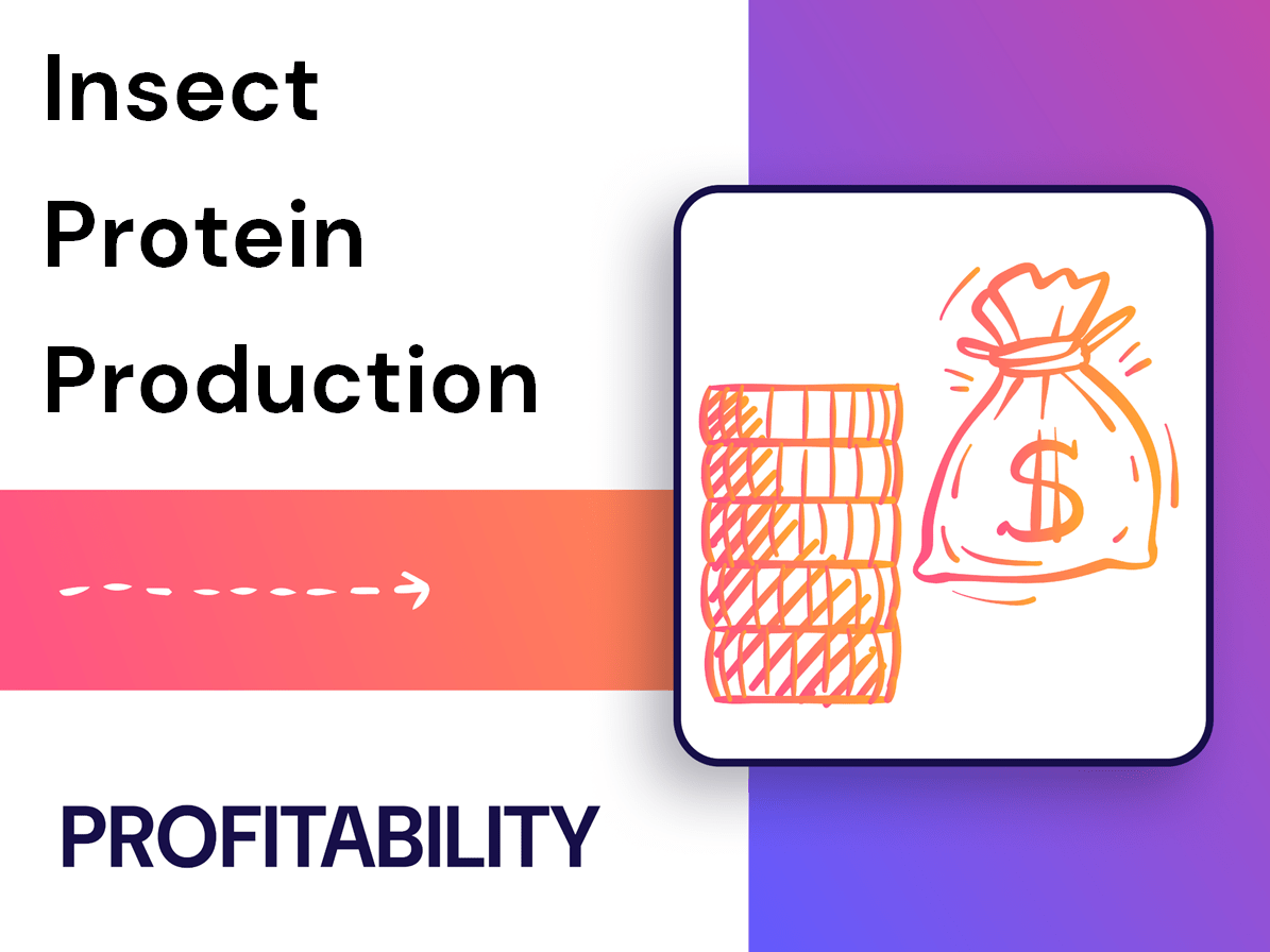 What Are the Top 5 Strategies to Maximize Profitability for Insect ...